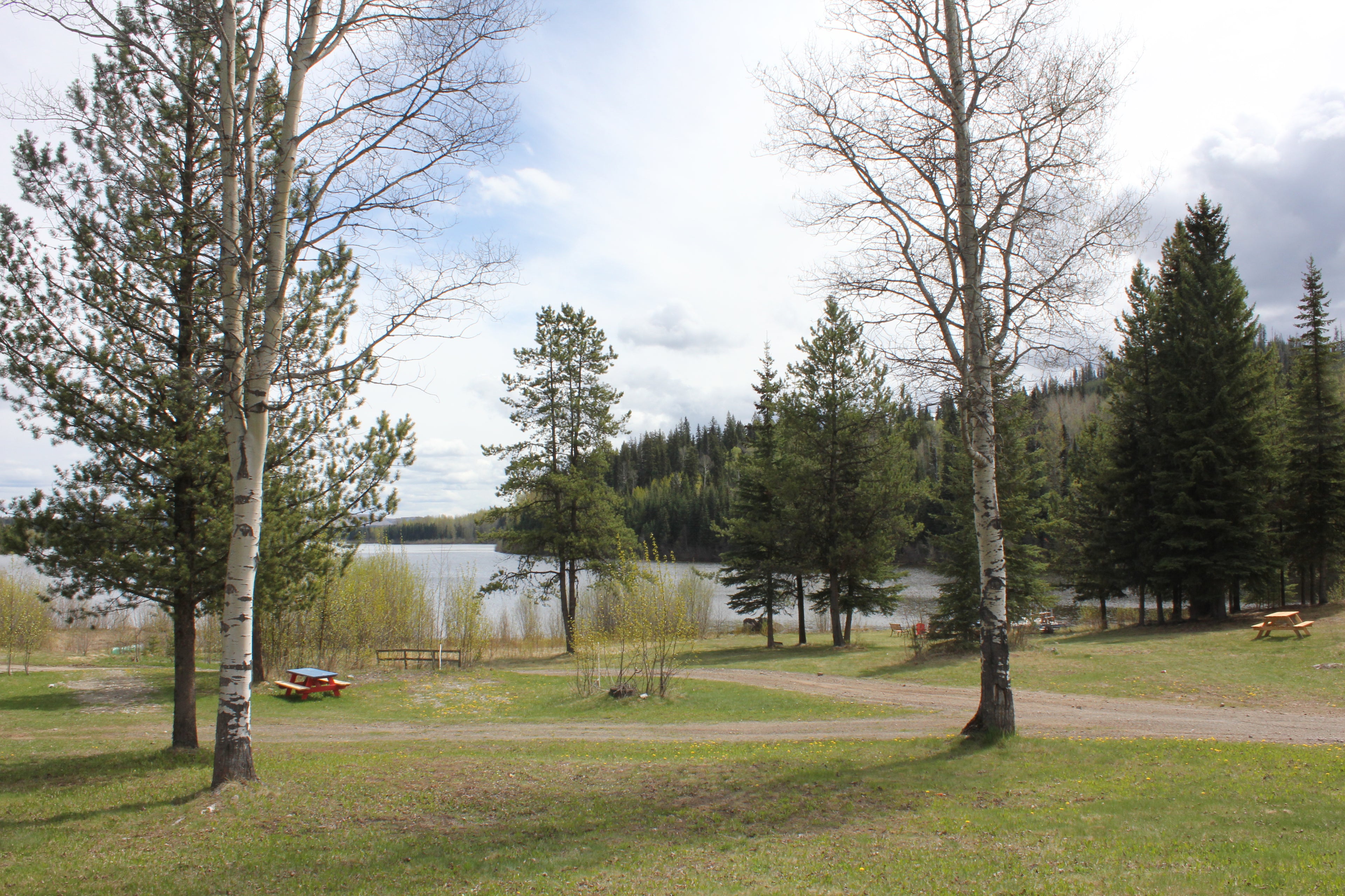 MoreHead Campground – Moreheadcampground
