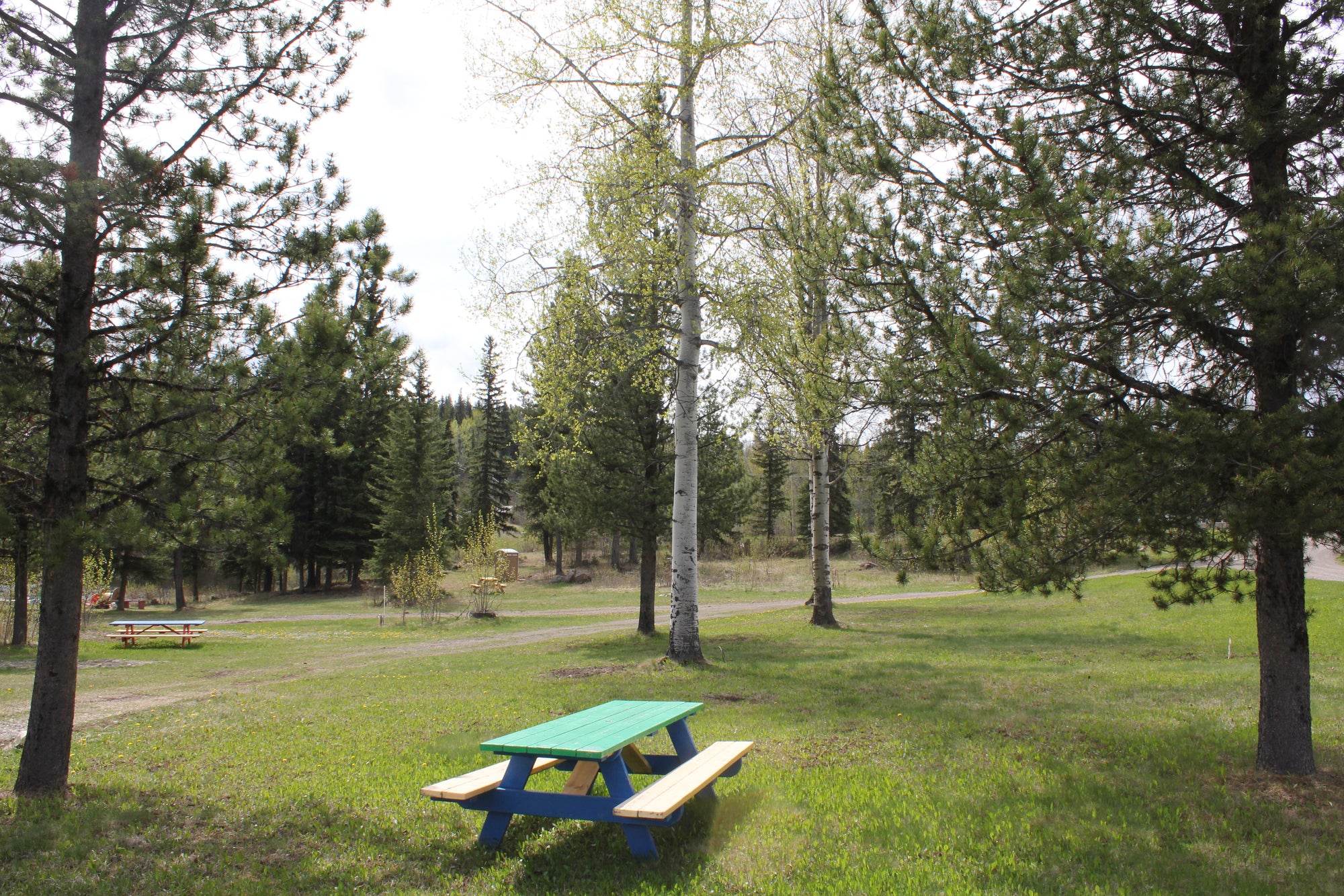 MoreHead Campground – Moreheadcampground